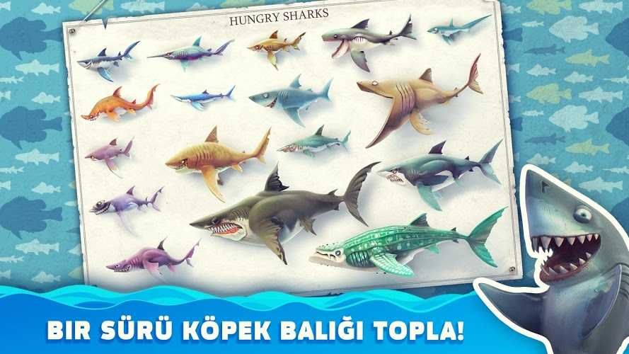 Hungry Shark World PC (BlueStacks) Ekran Görüntüsü - Gezginler