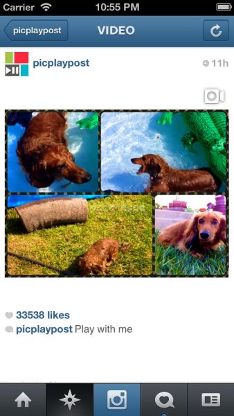 PicPlayPost İndir (iPhone ve iPad) - Fotoğraf ve Video Düzenleme ...