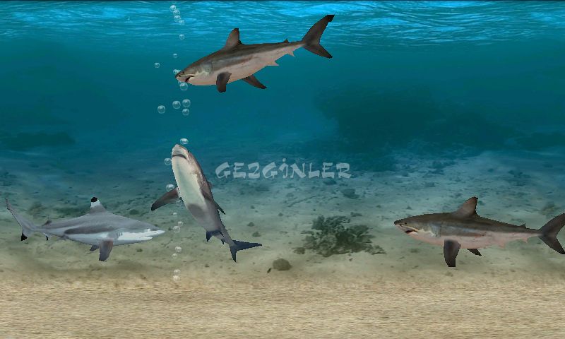 Fish Farm İndir (Android) - Gezginler Mobil